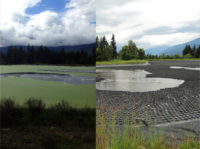 Algae Reduction & Prevention - Lemna Environmental Technologies